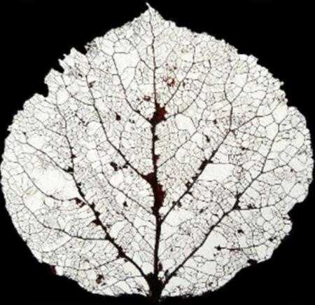 Paris Haussmann - Undo-Redo Studio